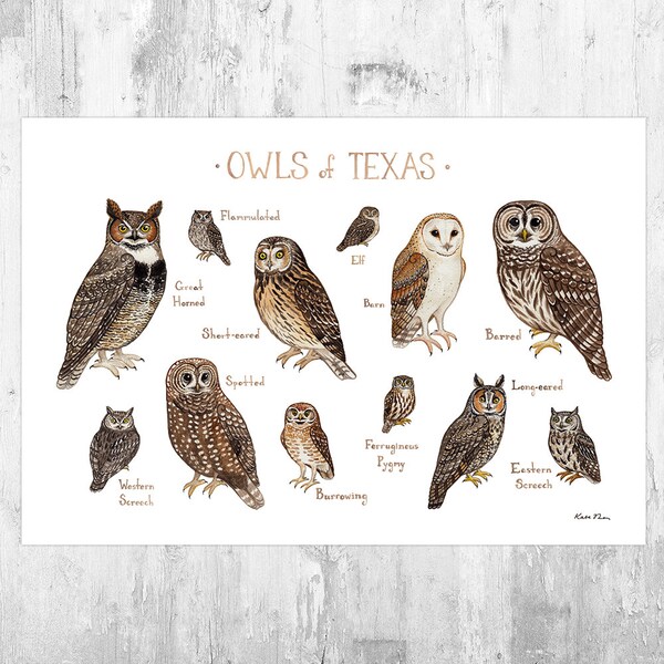 Texas Rustic Wall Art - Etsy