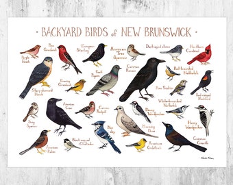 Alberta Backyard Birds Field Guide Art Print / Watercolor | Etsy