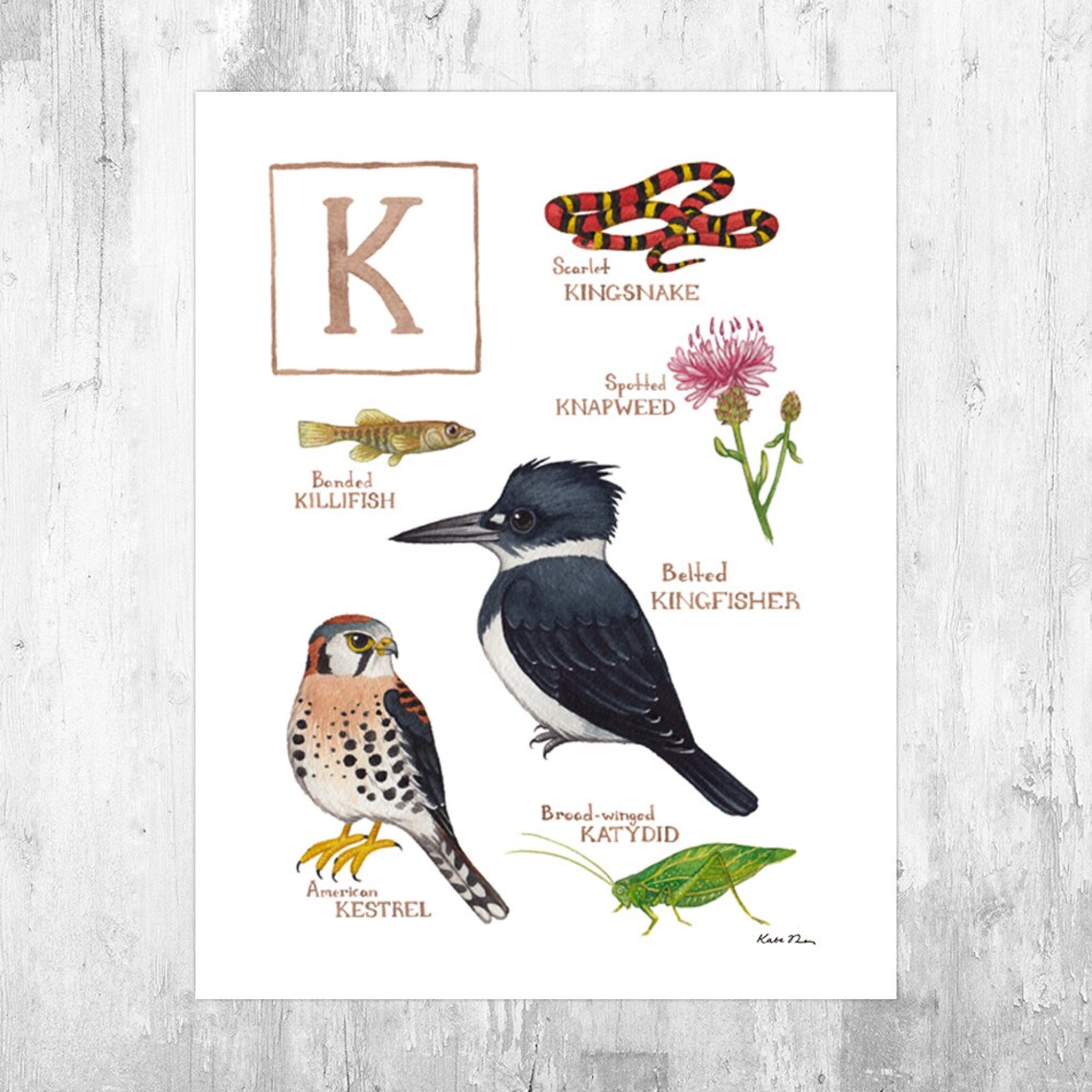Letter k Nature Alphabet Art Print / Monogram / | Etsy