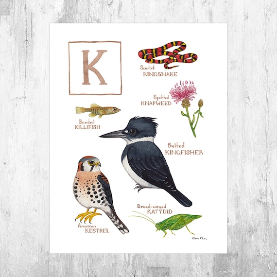 Letter k Nature Alphabet Art Print / Monogram / | Etsy