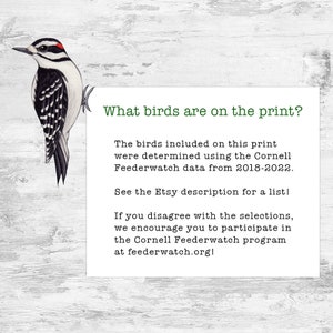 North Carolina Backyard Birds Field Guide Art Print / Watercolor ...