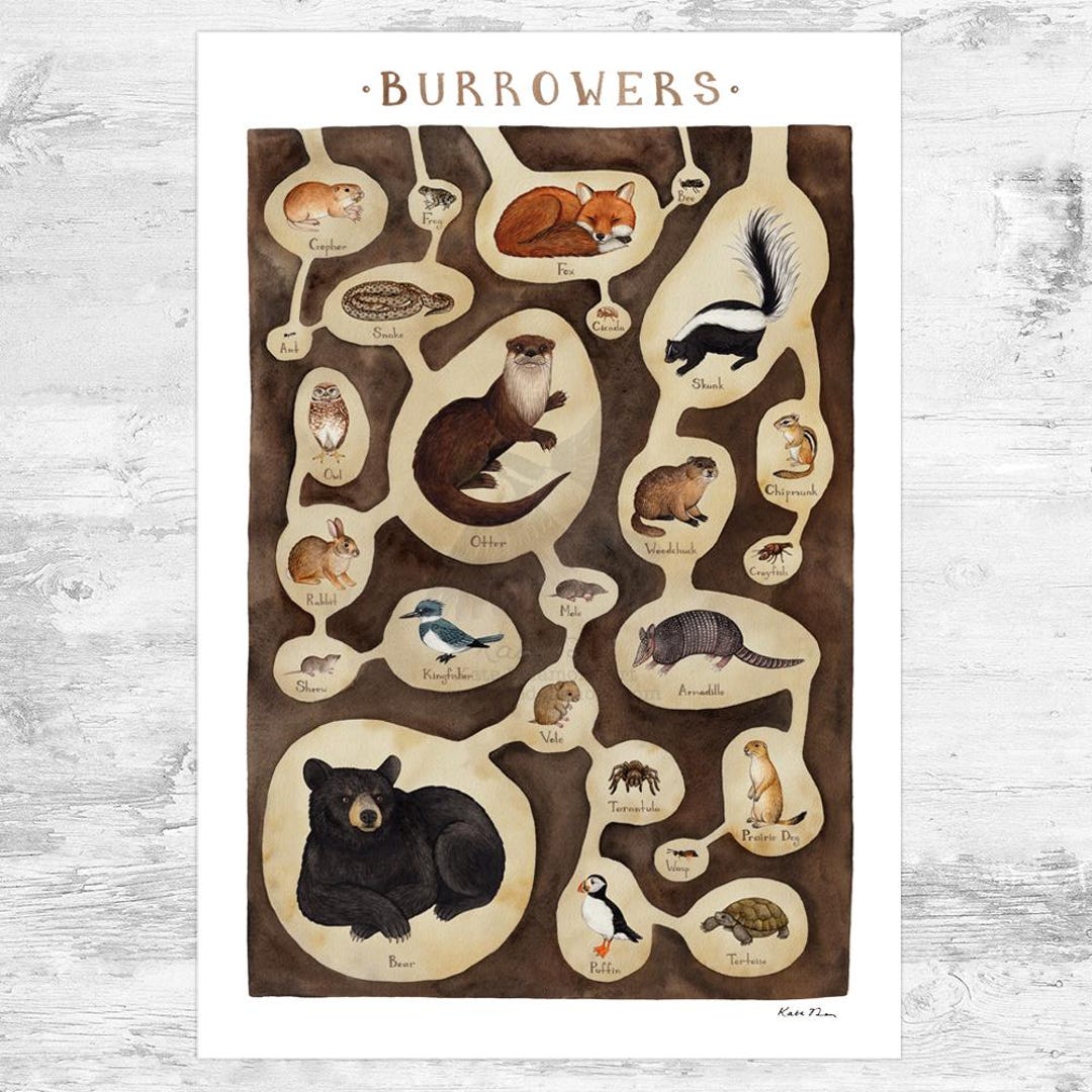 Burrowing Animals Field Guide Art Print / Burrowers Watercolor Painting ...
