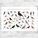 Colorado Backyard Birds Field Guide Art Print / Watercolor Painting ...