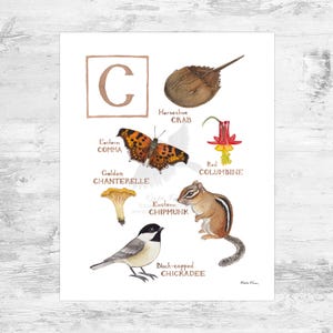 Letter "c" Nature Alphabet Art Print / 8x10 Monogram Initial Wall Art ...