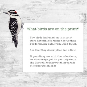 Alberta Backyard Birds Field Guide Art Print / Watercolor Painting ...