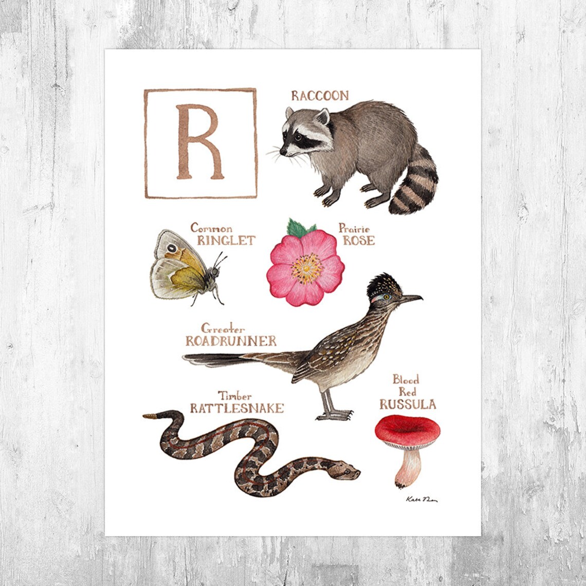 Letter R Nature Alphabet Art Print / Monogram / | Etsy