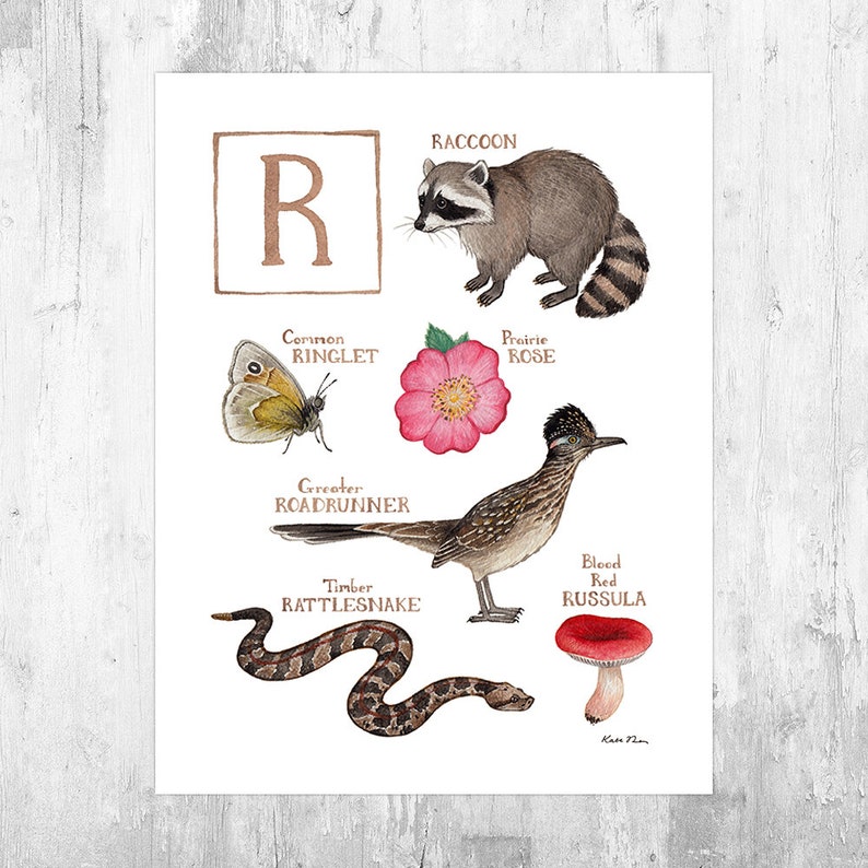 Letter R Nature Alphabet Art Print / Monogram / | Etsy