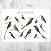 Tree Leaves Identification Poster British Species - Etsy