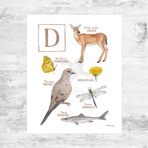 Letter "d" Nature Alphabet Art Print / 8x10 Monogram Initial Wall Art ...