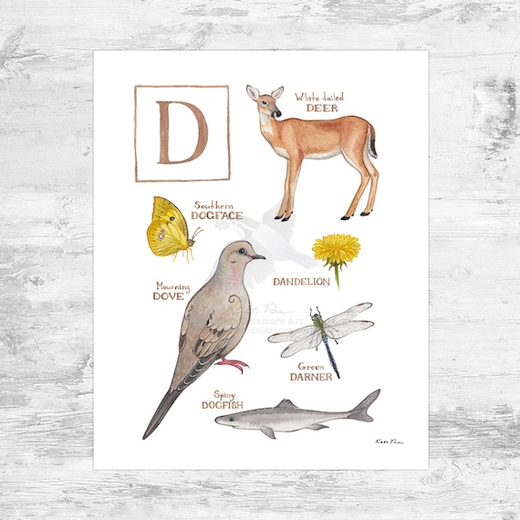 Letter D Images In Nature
