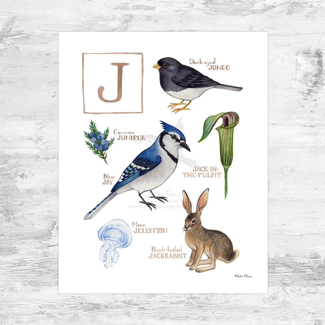 Letter "j" Nature Alphabet Art Print / 8x10 Monogram Initial Wall Art ...