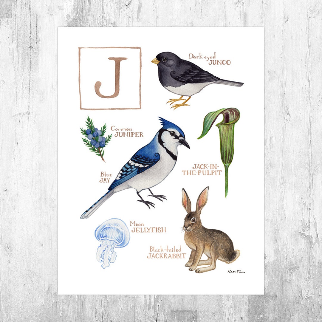 Letter j Nature Alphabet Art Print / Monogram / Initial Wall Art ...
