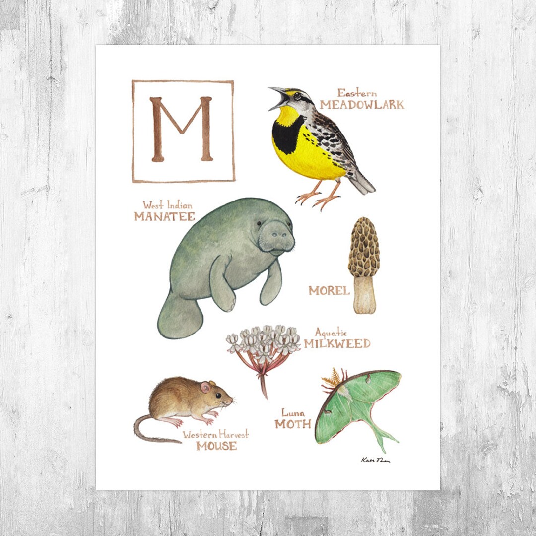 Letter m Nature Alphabet Art Print / Monogram / Initial Wall Art ...
