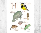 Letter m Nature Alphabet Art Print / Monogram / - Etsy