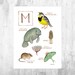 Letter m Nature Alphabet Art Print / Monogram / - Etsy