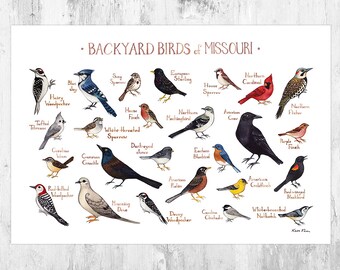 Missouri Backyard Birds Field Guide Art Print / Watercolor - Etsy