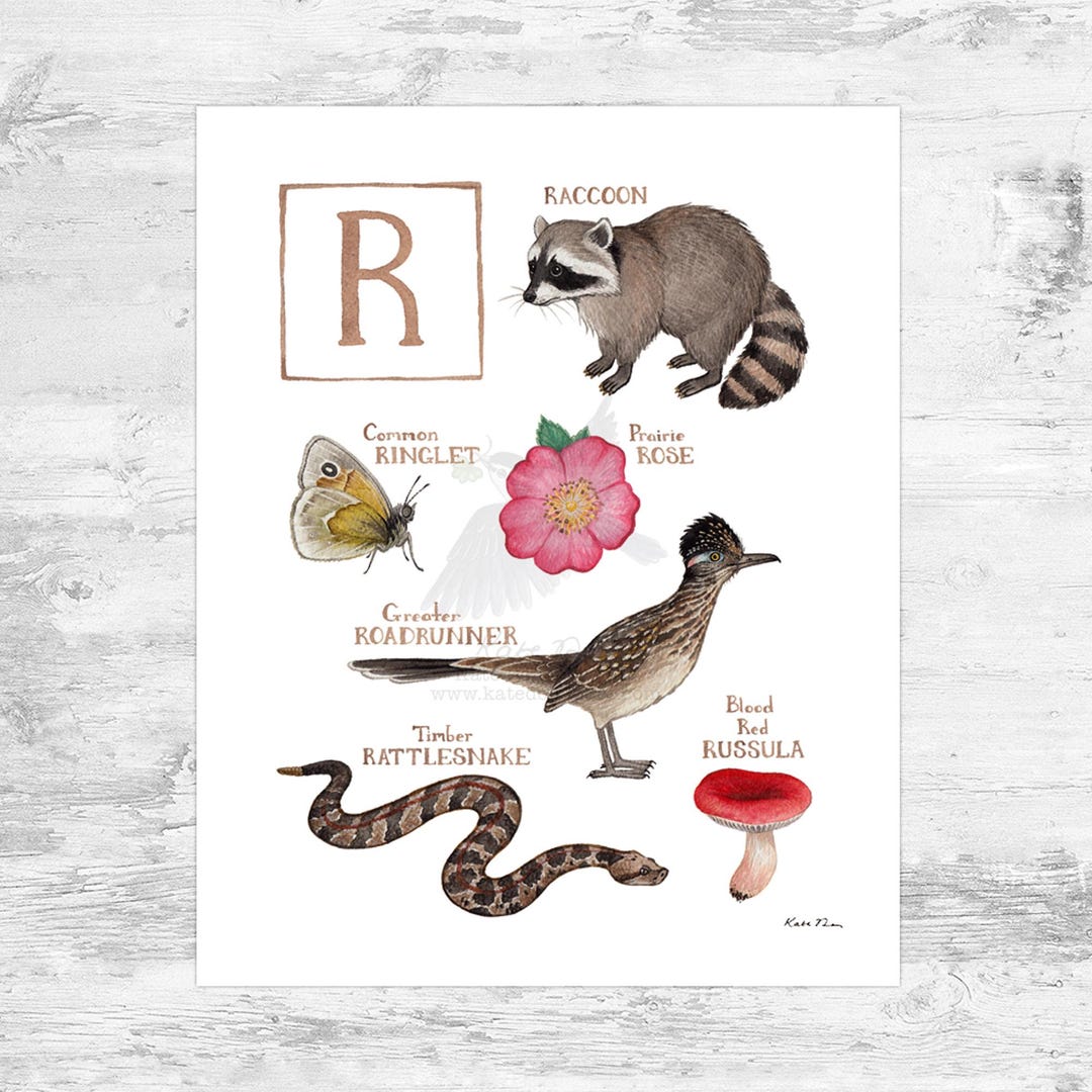 Letter "r" Nature Alphabet Art Print / 8x10 Monogram Initial Wall Art ...