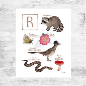 Letter "r" Nature Alphabet Art Print / 8x10 Monogram Initial Wall Art ...