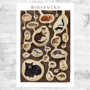 Burrowing Animals Field Guide Art Print / Burrowers Watercolor Wildlife ...