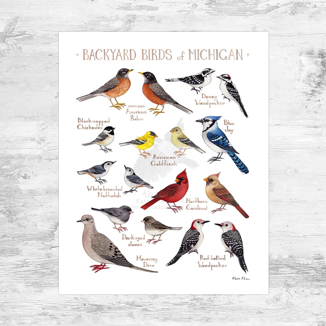 Michigan Backyard Birds Field Guide Art Print Mini 8x10 - Etsy