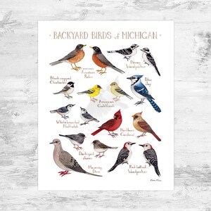 Michigan Backyard Birds Field Guide Art Print Mini 8x10 - Etsy Canada