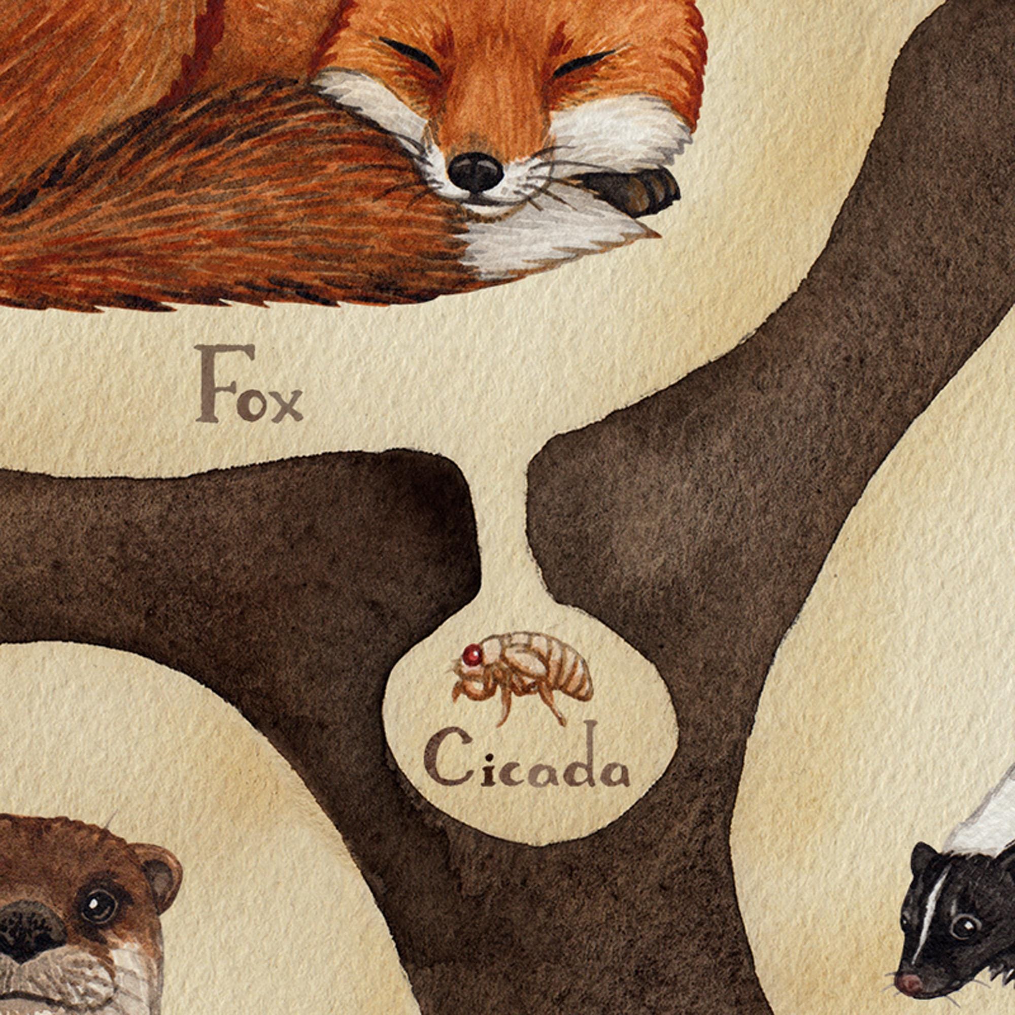 Burrowing Animals Field Guide Art Print / Burrowers Watercolor Wildlife ...