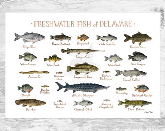 Alabama Freshwater Fish Field Guide Art Print / Fish Nature - Etsy