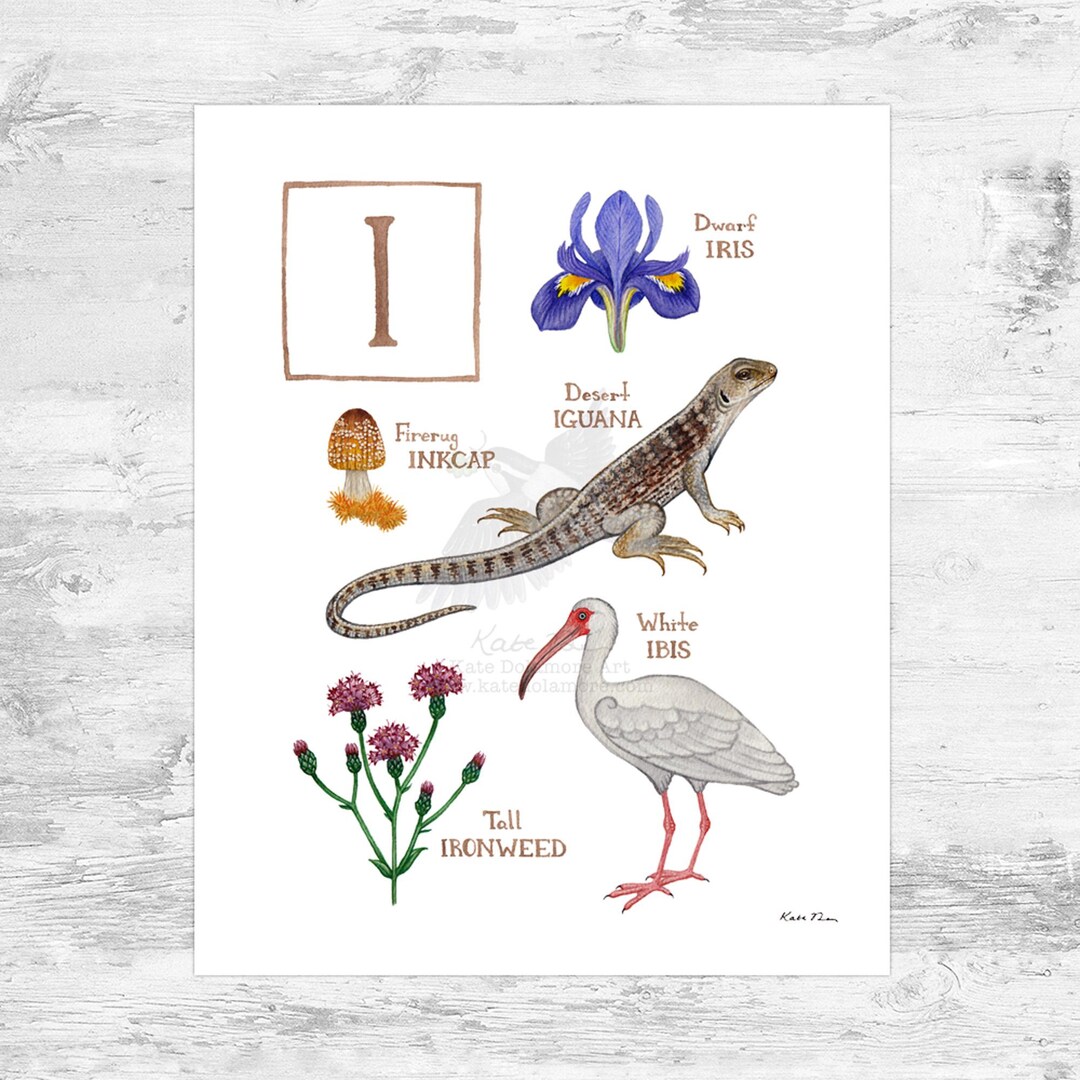 Letter "i" Nature Alphabet Art Print / 8x10 Monogram Initial Wall Art ...