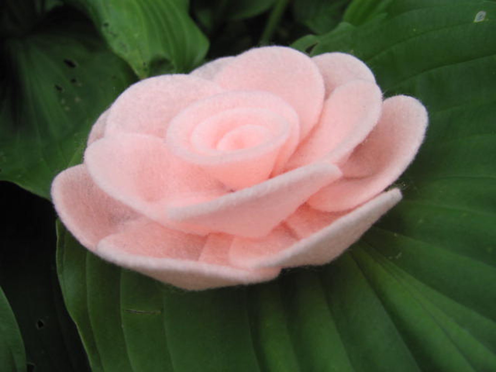 Felt Rose Pattern PENNY ROSE No Sew Felt Flower Tutorial Brooch Pattern ...