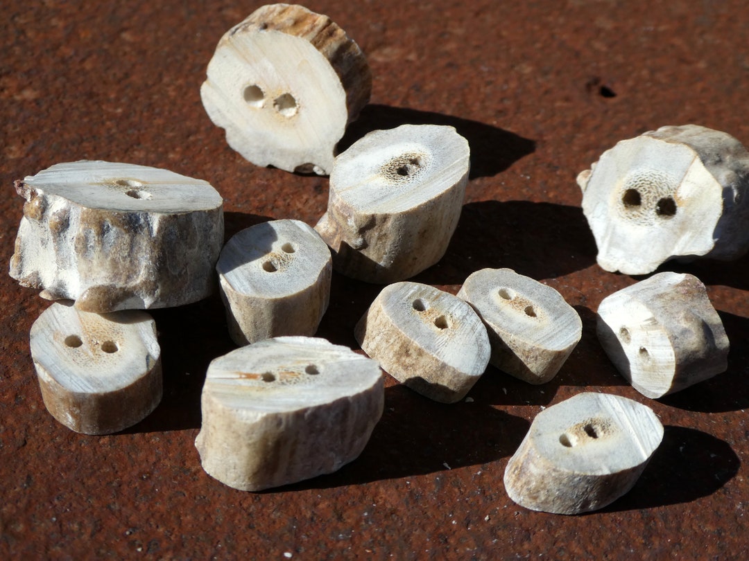 11 White Tail Deer Buttons Antler Buttons Natural Deer Antler - Etsy