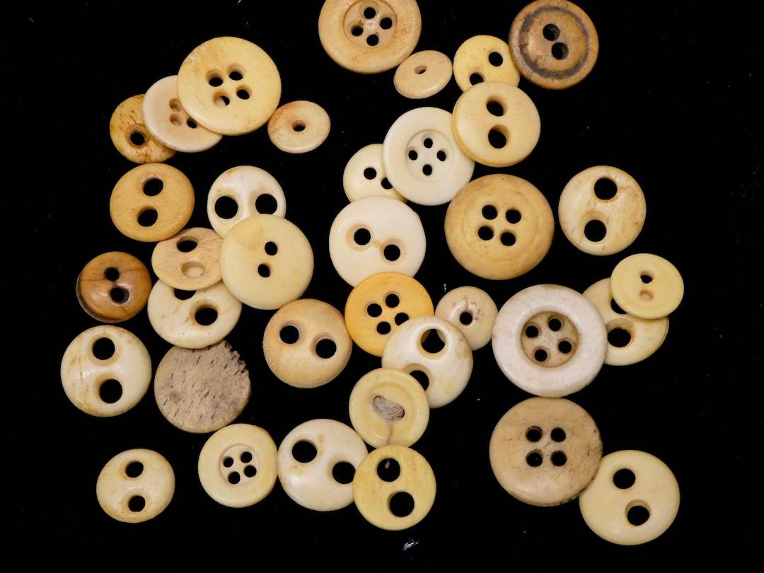 36 Antique Bone Bovine Buttons and Bone Like 1-D3 - Etsy