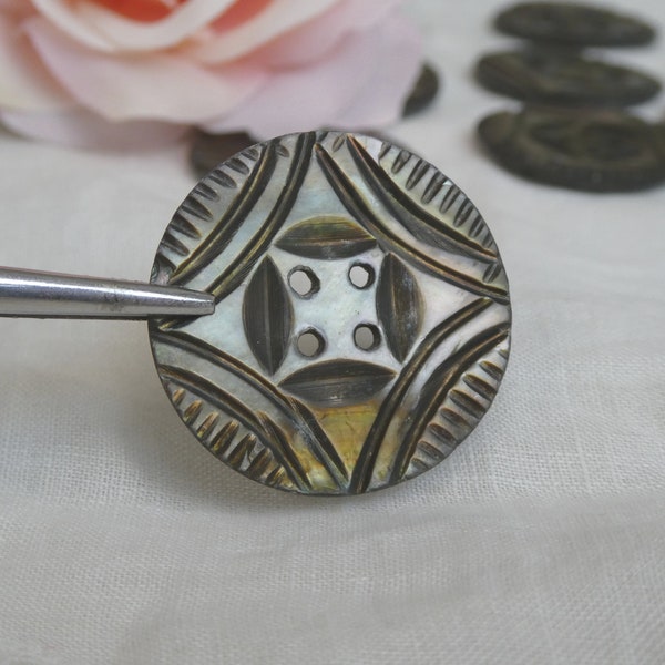 Abalone Buttons - Etsy