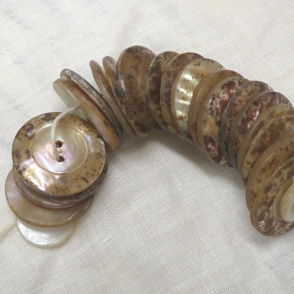 Abalone Buttons - Etsy