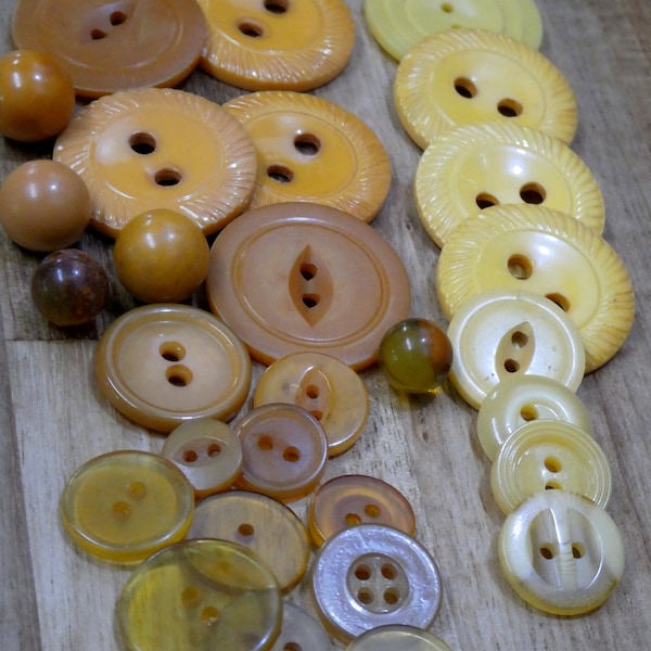 Corn Mustard Yellow - Etsy