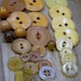 29 Golden Mustard Vintage Bakelite Celuloid Buttons, 29 Gold Yellow Old ...