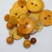 29 Golden Mustard Vintage Bakelite Celuloid Buttons, 29 Gold Yellow Old ...