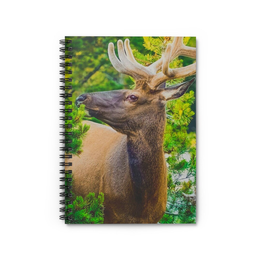Nature-inspired Spiral Notebook With Deer Design | Wildlife Journal ...