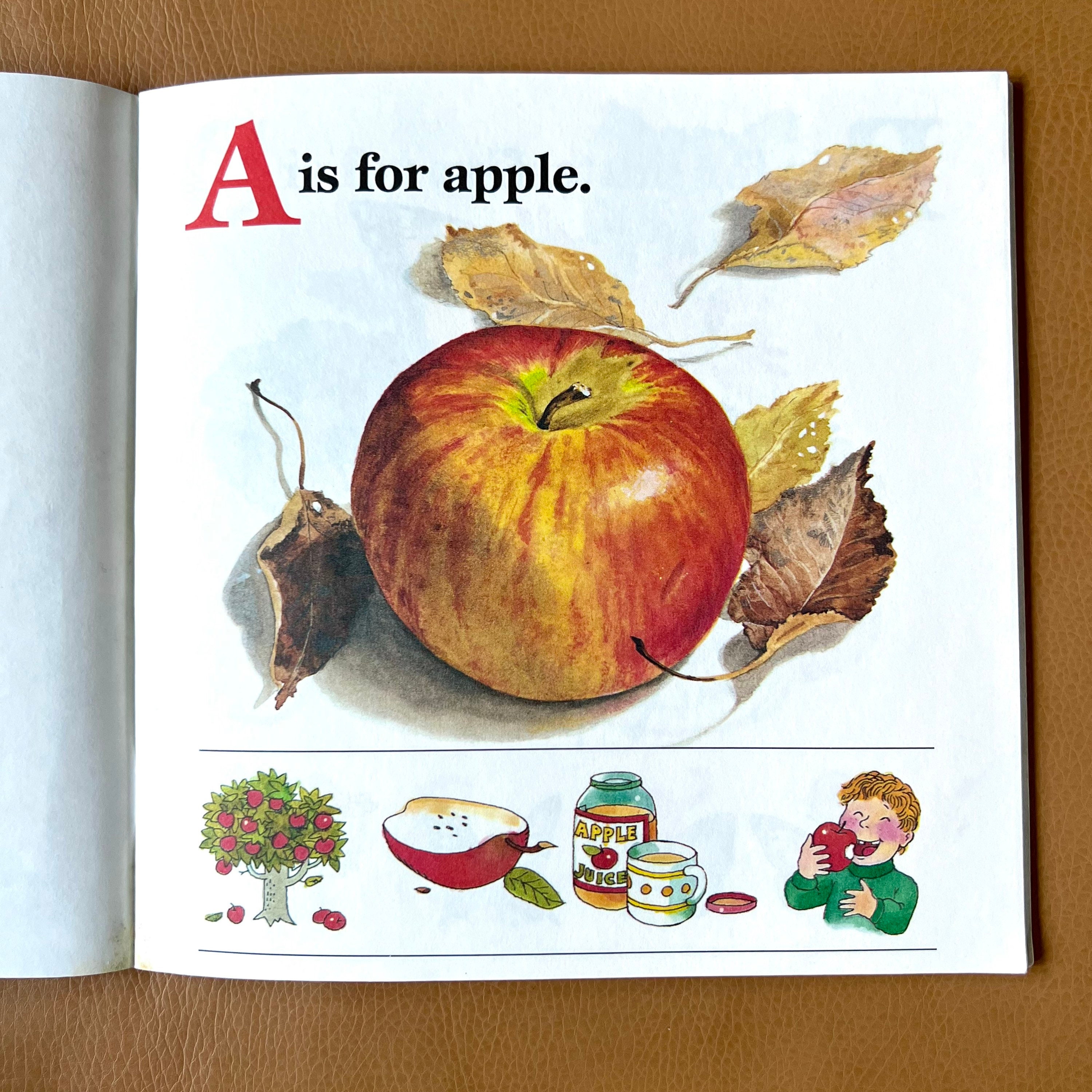 Vintage Alphabet Booka to Z Look and See by Audean Johnson1989 Picture ...