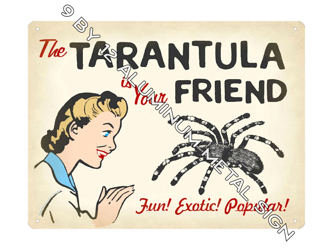 Funny Tarantula Metal SIGN Decorations for Terrarium or Cage Spider ...