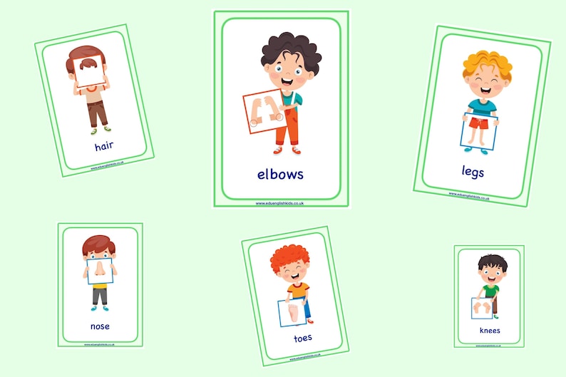 Body Parts Flashcards for Kids | Printable Preschool & Kindergarten ...