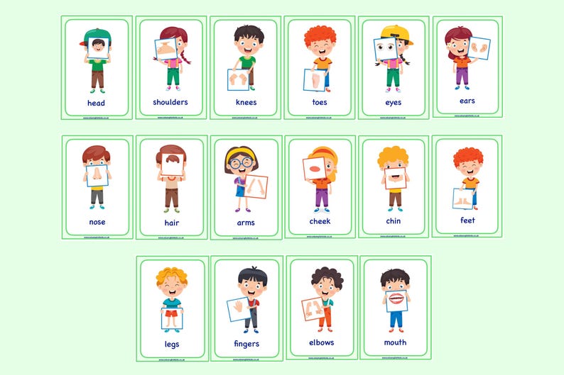 Body Parts Flashcards for Kids | Printable Preschool & Kindergarten ...