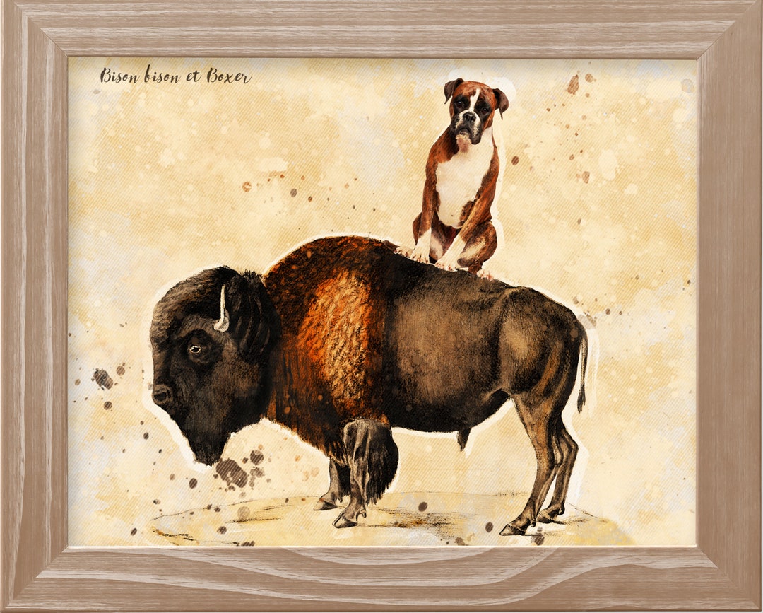 Vintage Brindle Boxer Hund Reiten Bison Kunst Fine Art Print Leinwand ...