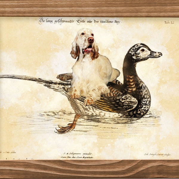 English Riding - Etsy