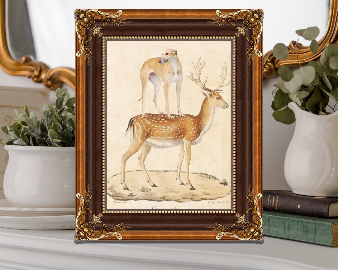 Fawn Greyhound Riding Fallow Deer Art Vintage Print Ad CANVAS - Etsy