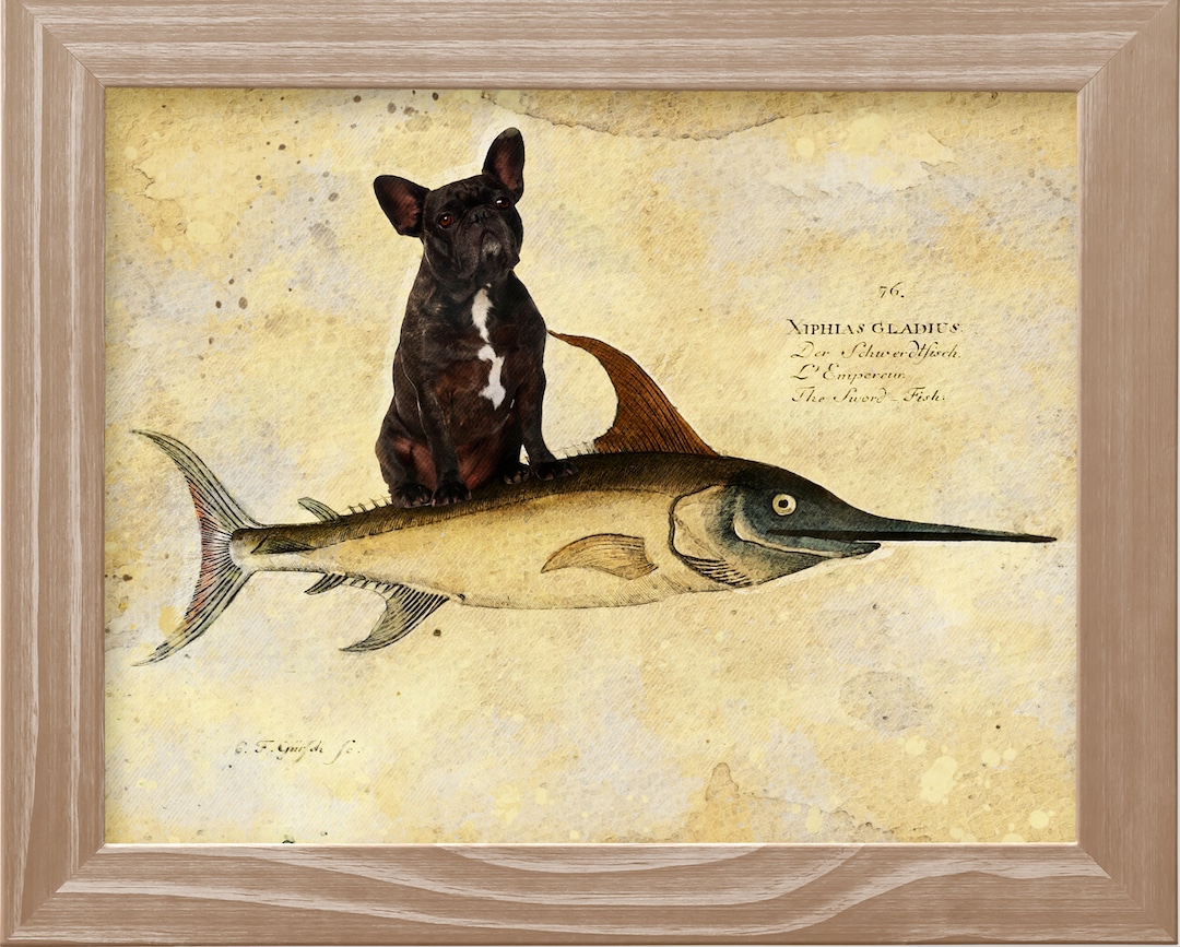 Brindle Frenchie Riding Swordfish Print Canvas Fine Art Mug Pillow Tote ...