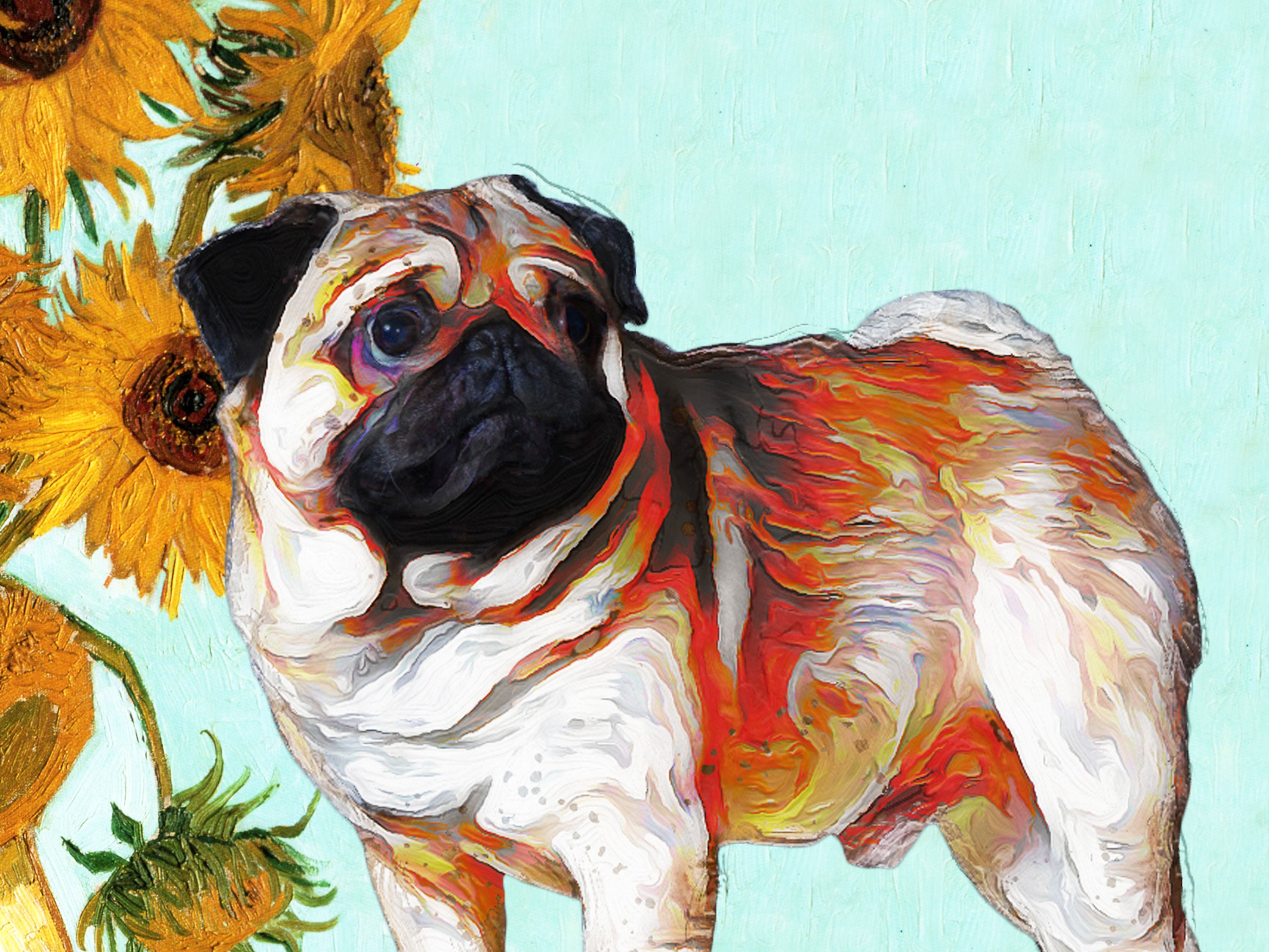 Pug Art CANVAS Sunflowers Van Gogh Customized Print Fawn Pug | Etsy