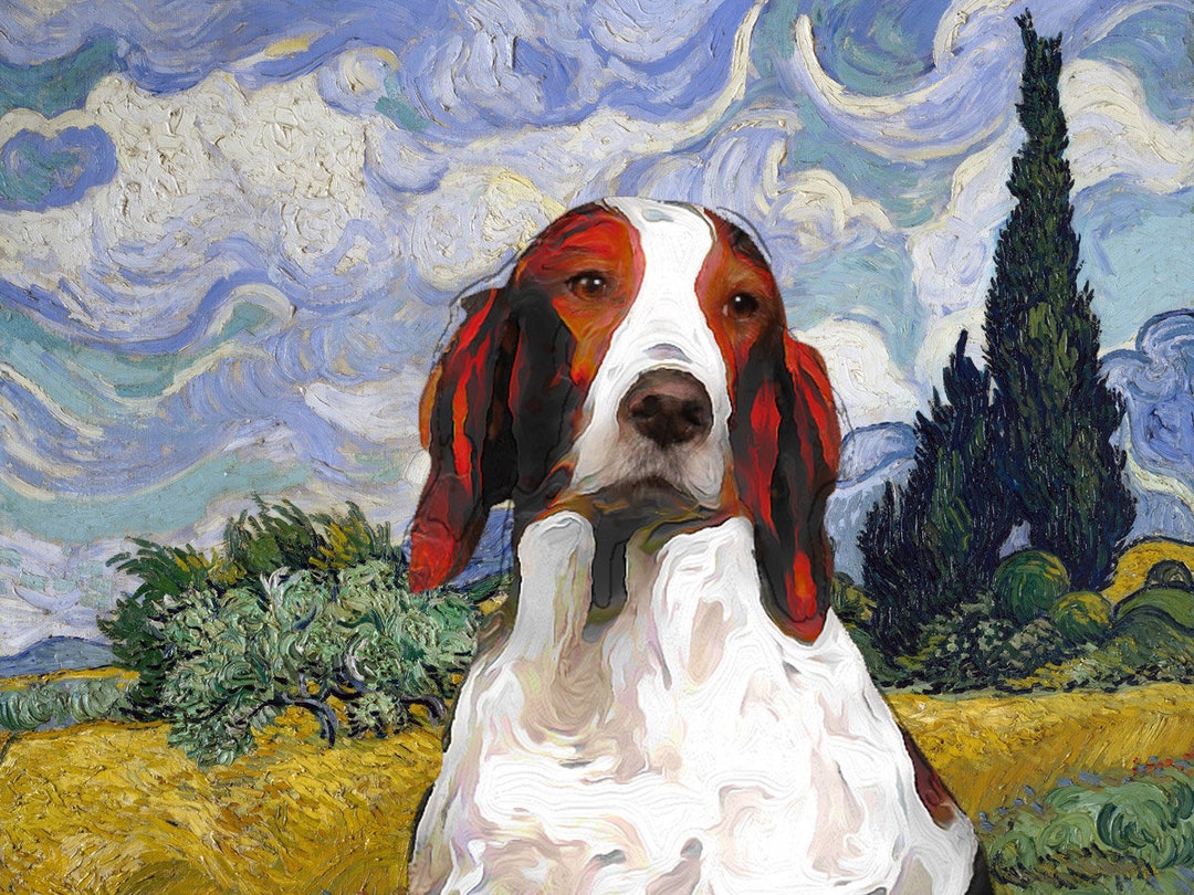 Irish Red and White Setter Art CANVAS Wheat Field With Cypresses Van ...