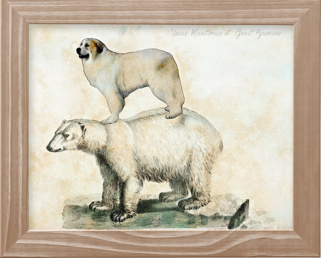 Great Pyrenees Pyrenean Mountain Dog Riding Polar Bear Art Vintage ...