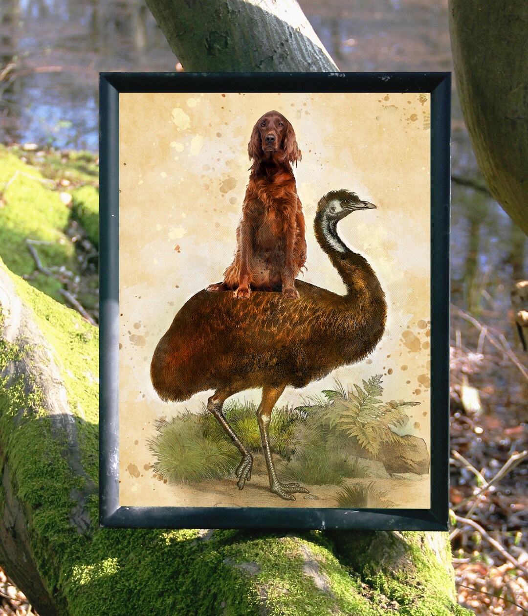 Setter Dog Riding Emu Irish Red Setter Vintage CANVAS Print - Etsy