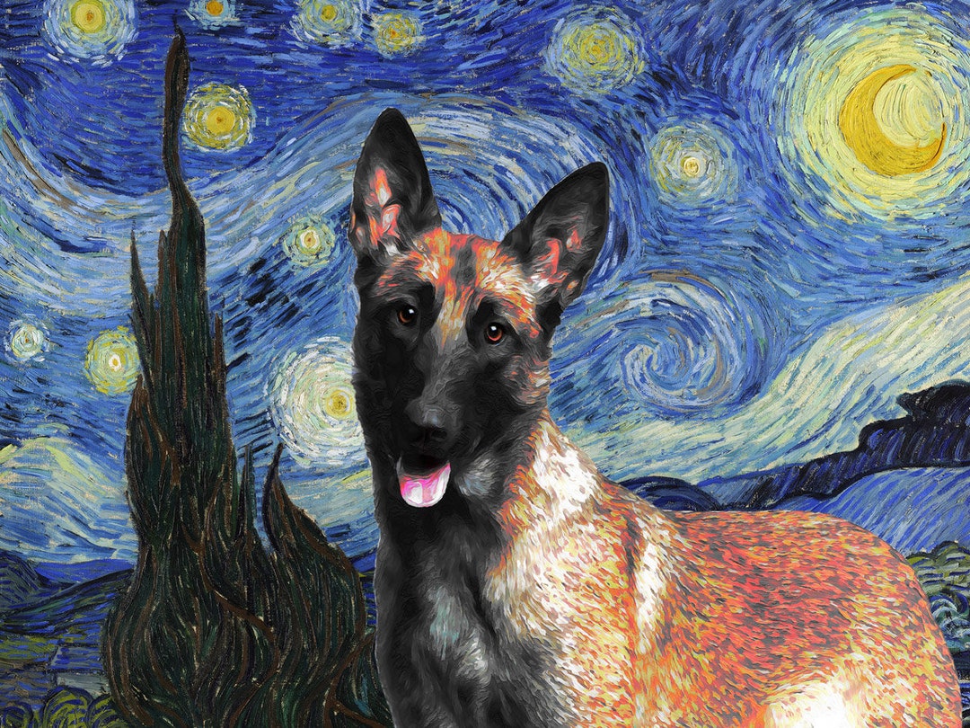 Custom Starry Night Belgian Malinois Canvas Print - Etsy